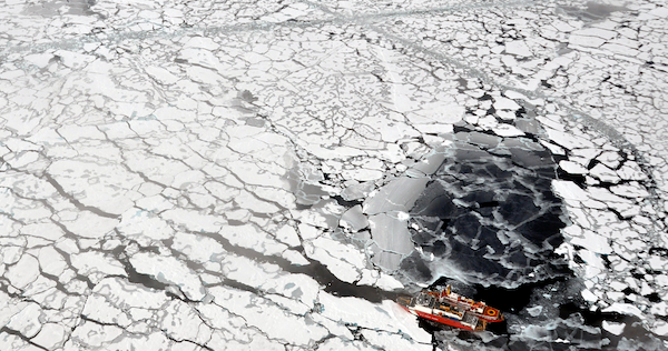 Loss of sea ice in the Arctic: Sad testimony of climate change, good ...