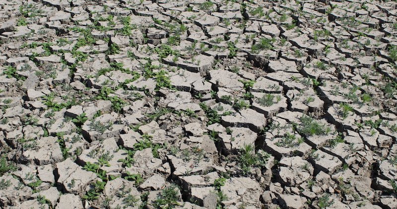 Droughts in the soil increase much less than droughts at the earth ...