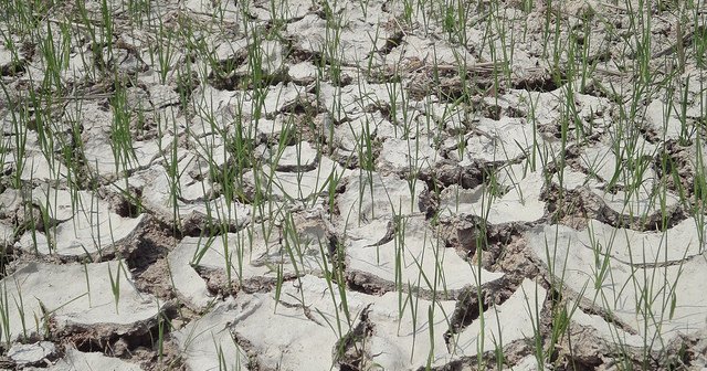 Drought in eastern Mediterranean worst of past 900 years ...