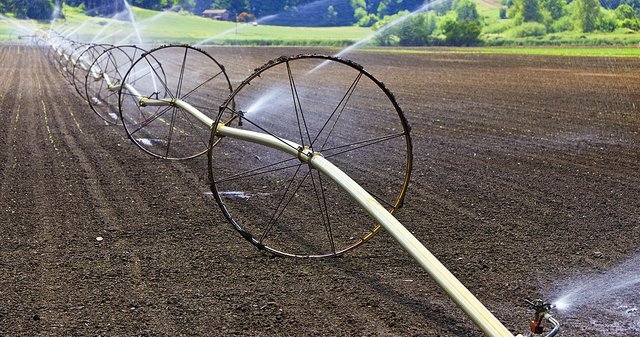 Sustainable water consumption for irrigation can feed an additional 2.8 ...
