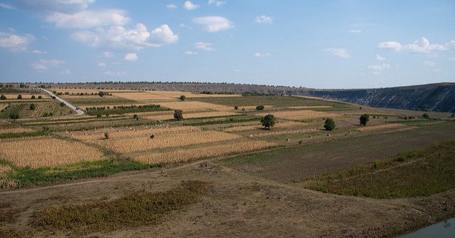 Droughts increasingly affect main crop yields in the Republic of ...