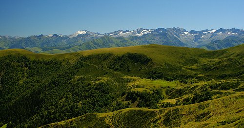 Alpine and subalpine vegetation habitat reduction in the Pyrenees ...
