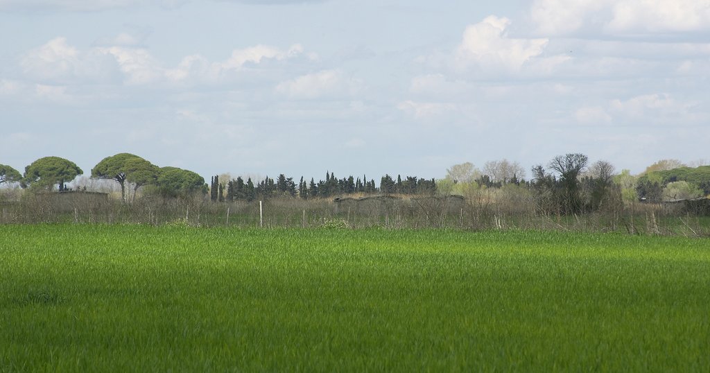 Adaptation could turn climate change into an opportunity for European ...