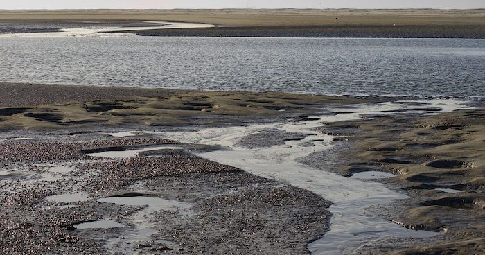 How will different rates of sea-level rise determine the future of the ...